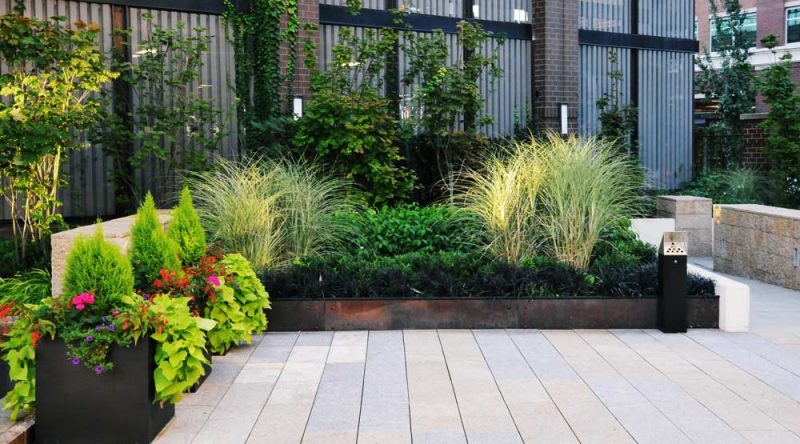 Plant Service in Northern California